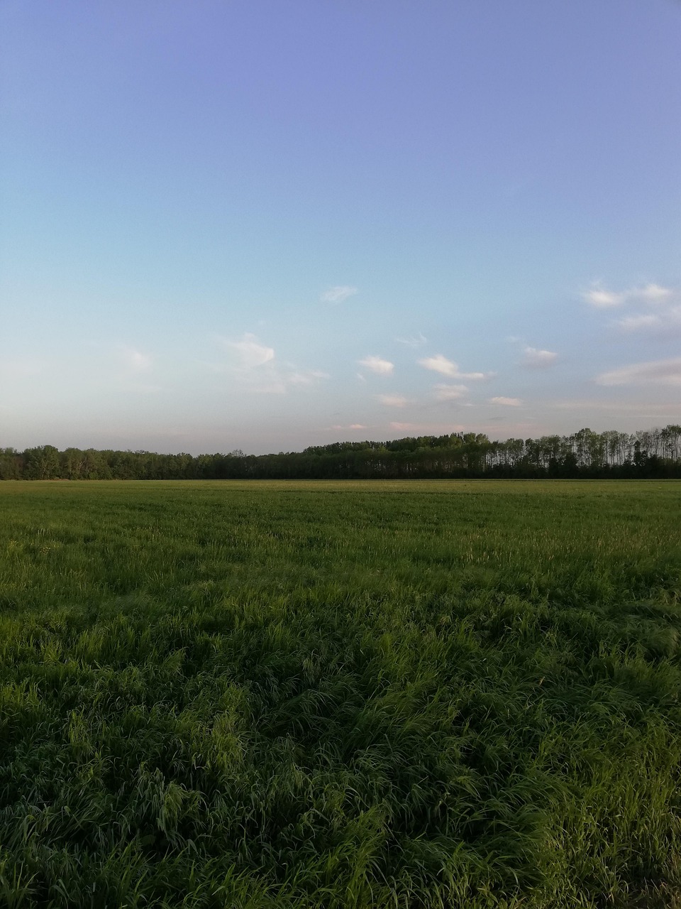 Paisaje Prado Naturaleza - Foto gratis en Pixabay - Pixabay