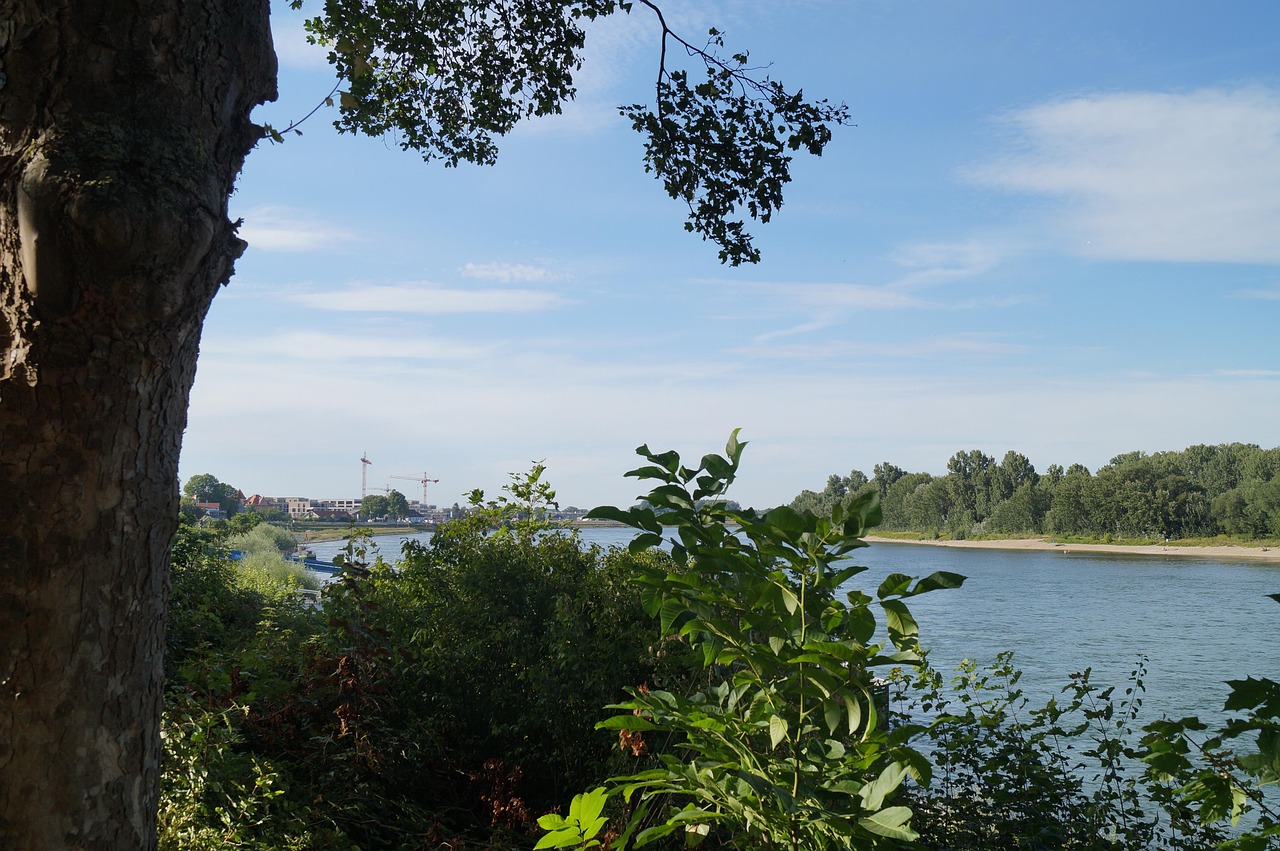 Rhein Fluss Natur - Kostenloses Foto auf Pixabay - Pixabay