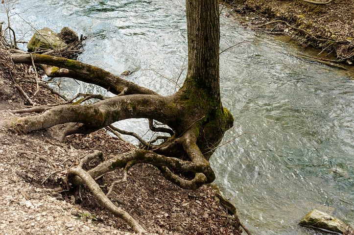 6+ Free Gaja & Reflective Clothing Images - Pixabay