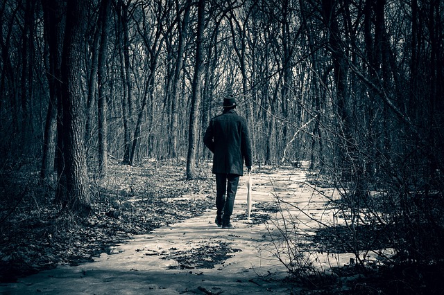 Forest Man Road - Free photo on Pixabay