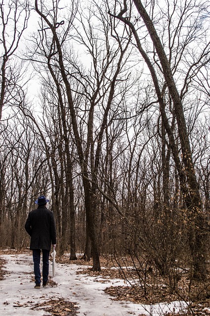 Forest Nature Male Figure - Free photo on Pixabay - Pixabay