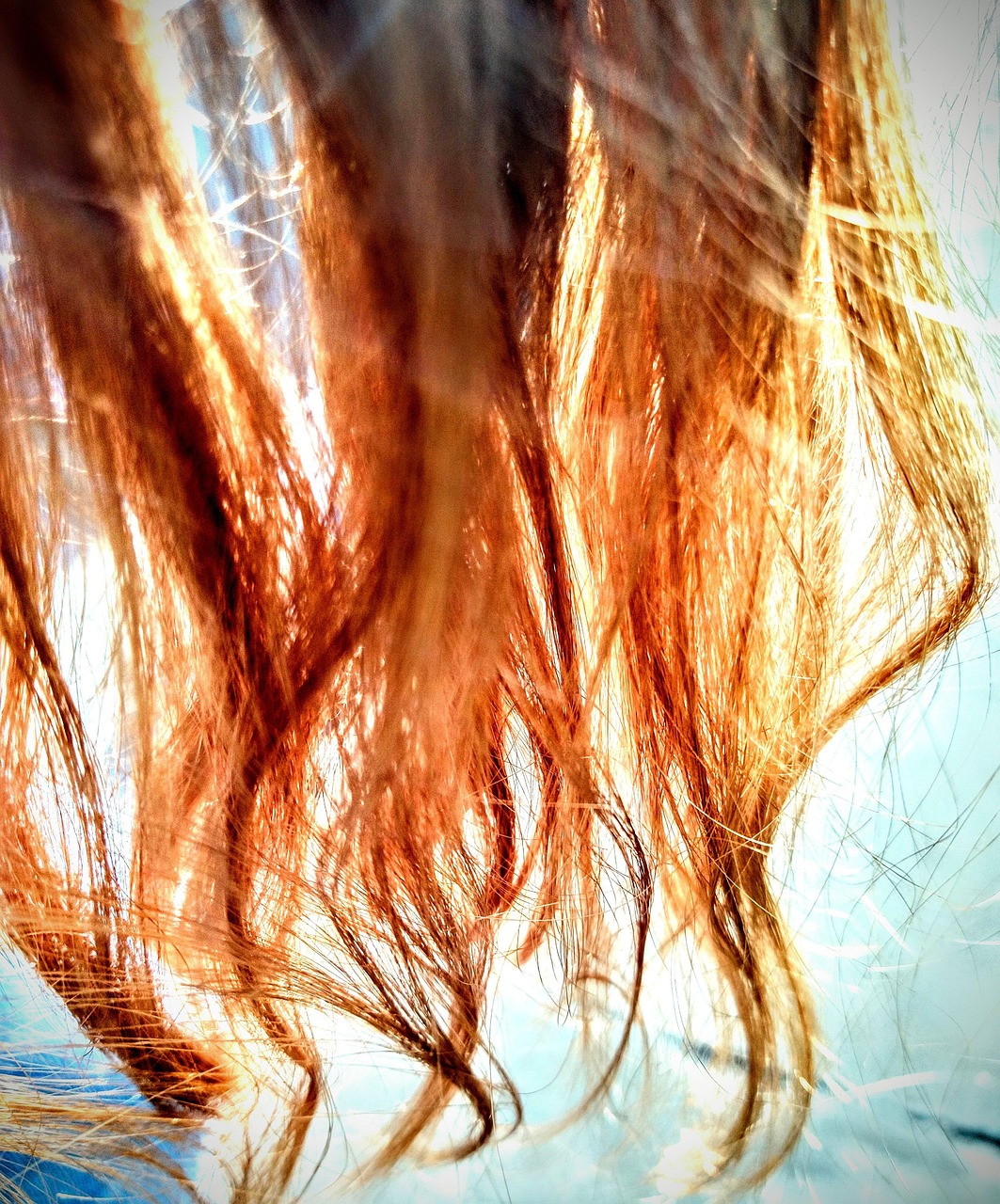 Hair Pelo Cabello - Free photo on Pixabay