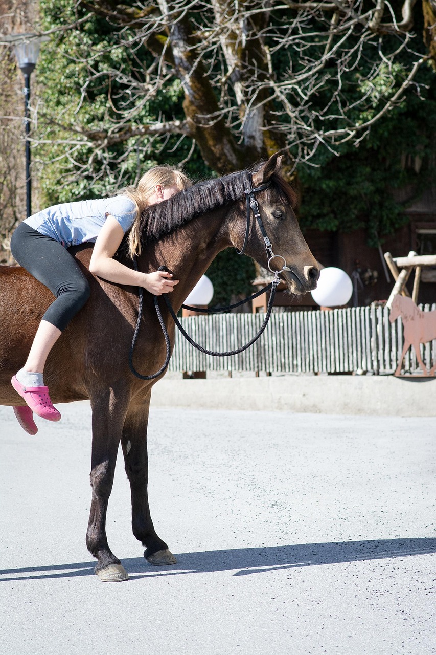 Cheval Poney Enfant - Photo gratuite sur Pixabay - Pixabay