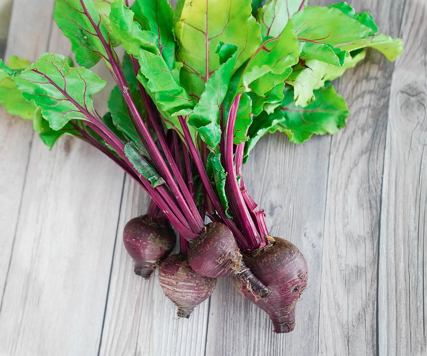 Vegetable Organic Beets - Free photo on Pixabay - Pixabay