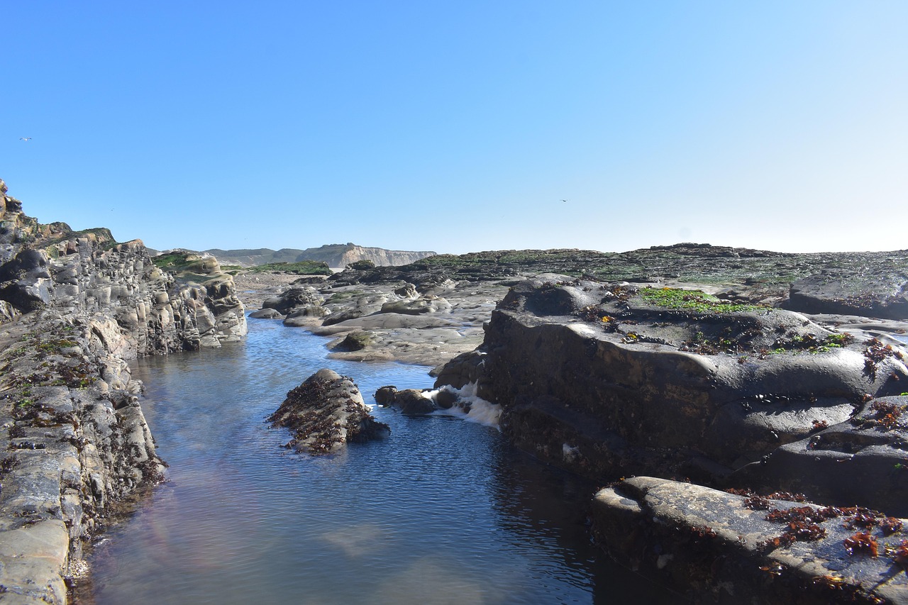 Penhasco Piscinas De Maré Pedras - Foto gratuita no Pixabay - Pixabay
