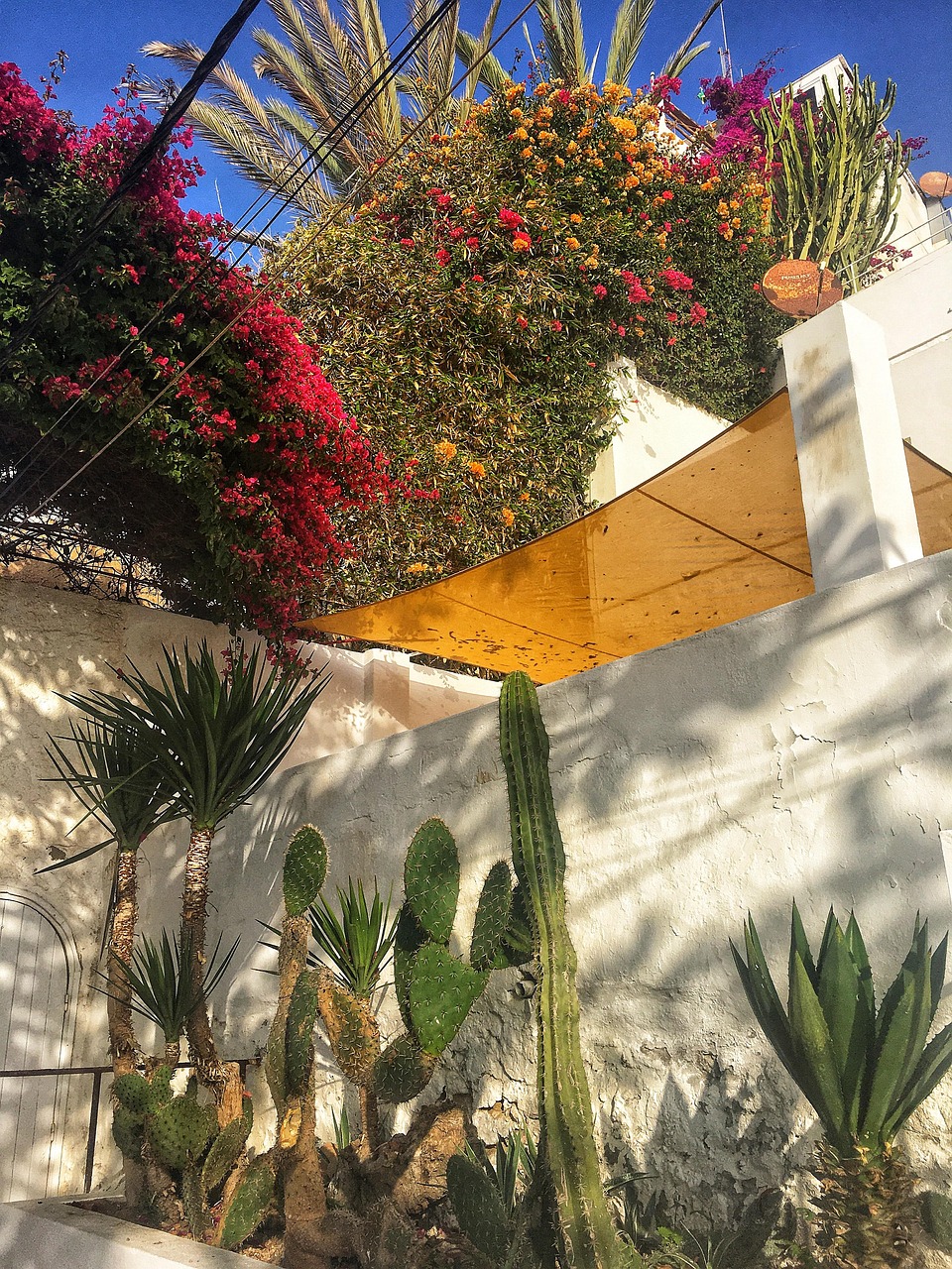 Maroc Loger Les Plantes - Photo gratuite sur Pixabay - Pixabay
