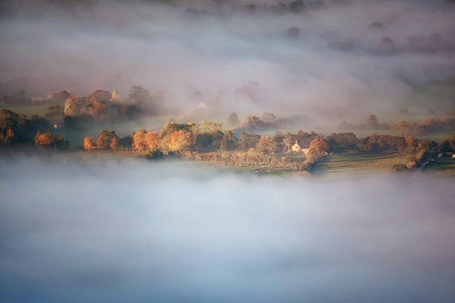 Nebel Szenisch Natur - Kostenloses Foto auf Pixabay - Pixabay