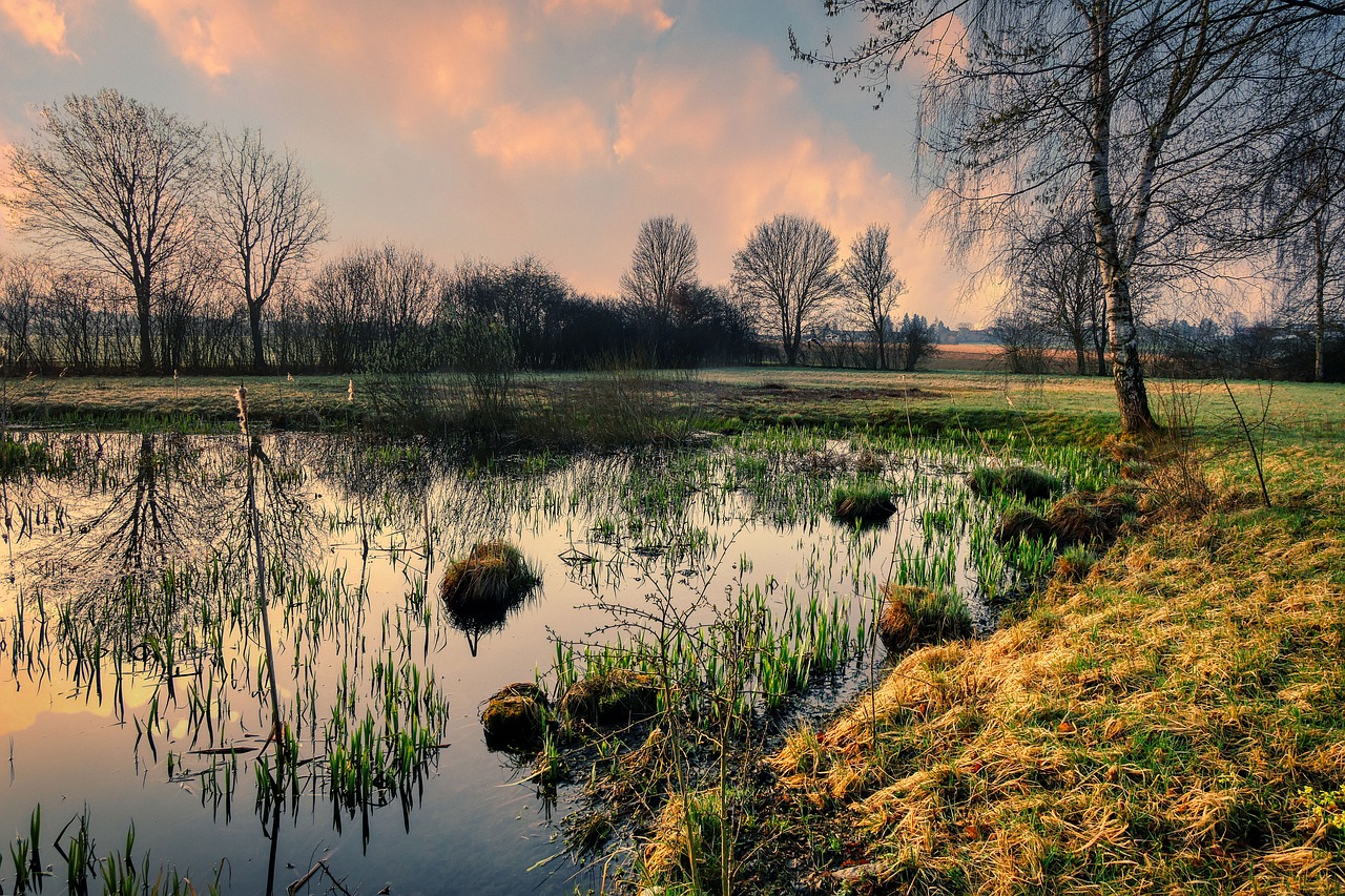 200+ Free Water Conservation & Nature Images - Pixabay