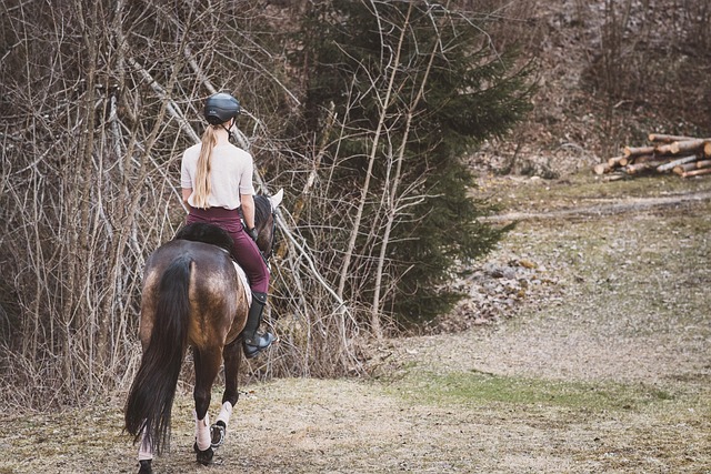 Woman Horse Riding - Free photo on Pixabay - Pixabay