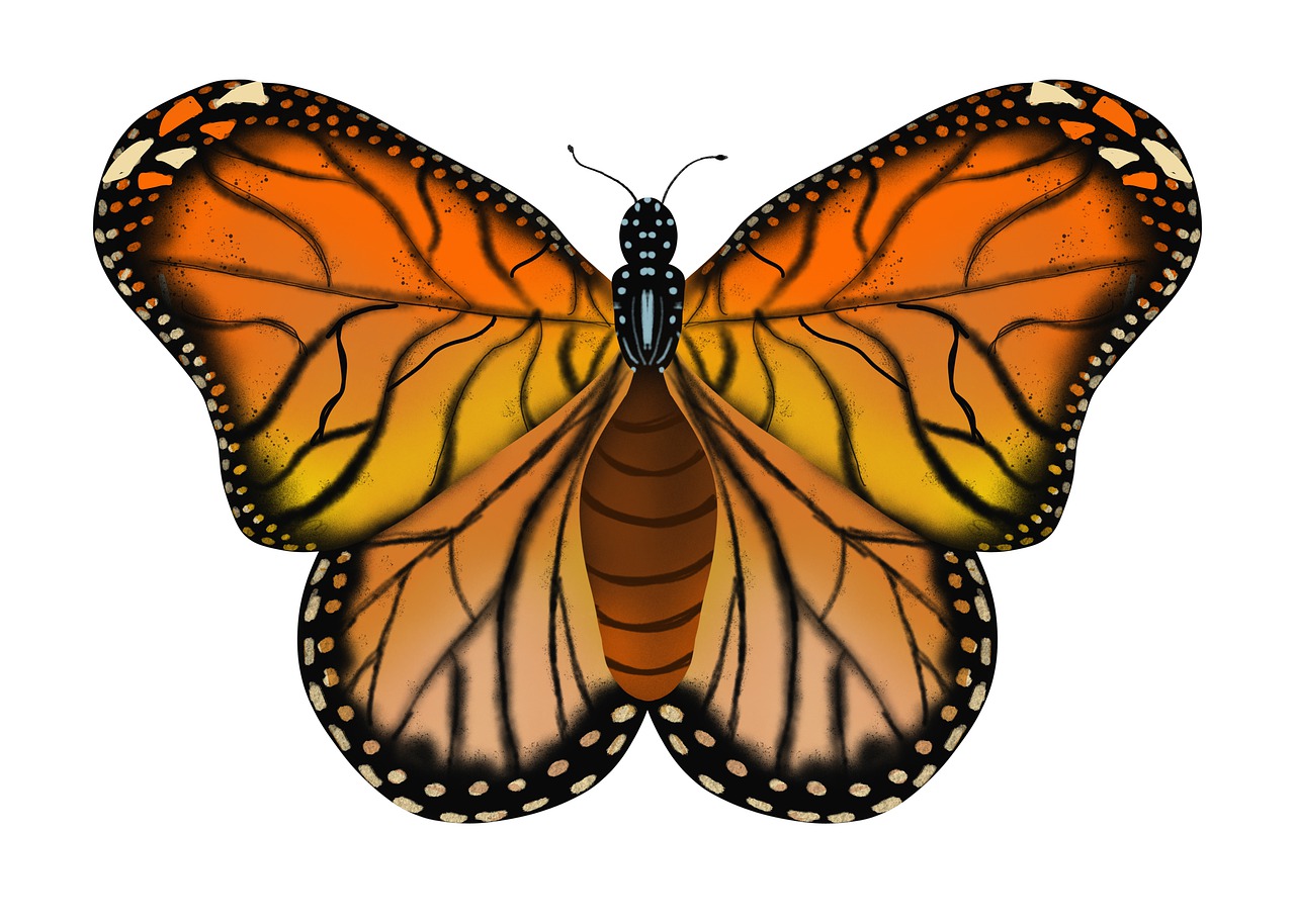 Papillon Numérique - Image gratuite sur Pixabay - Pixabay