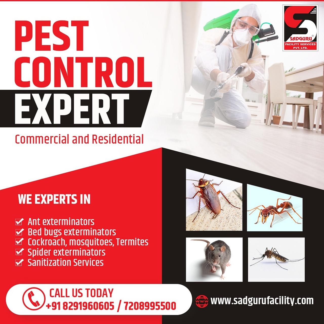 Pest Control Services In Borivali - Free photo on Pixabay - Pixabay
