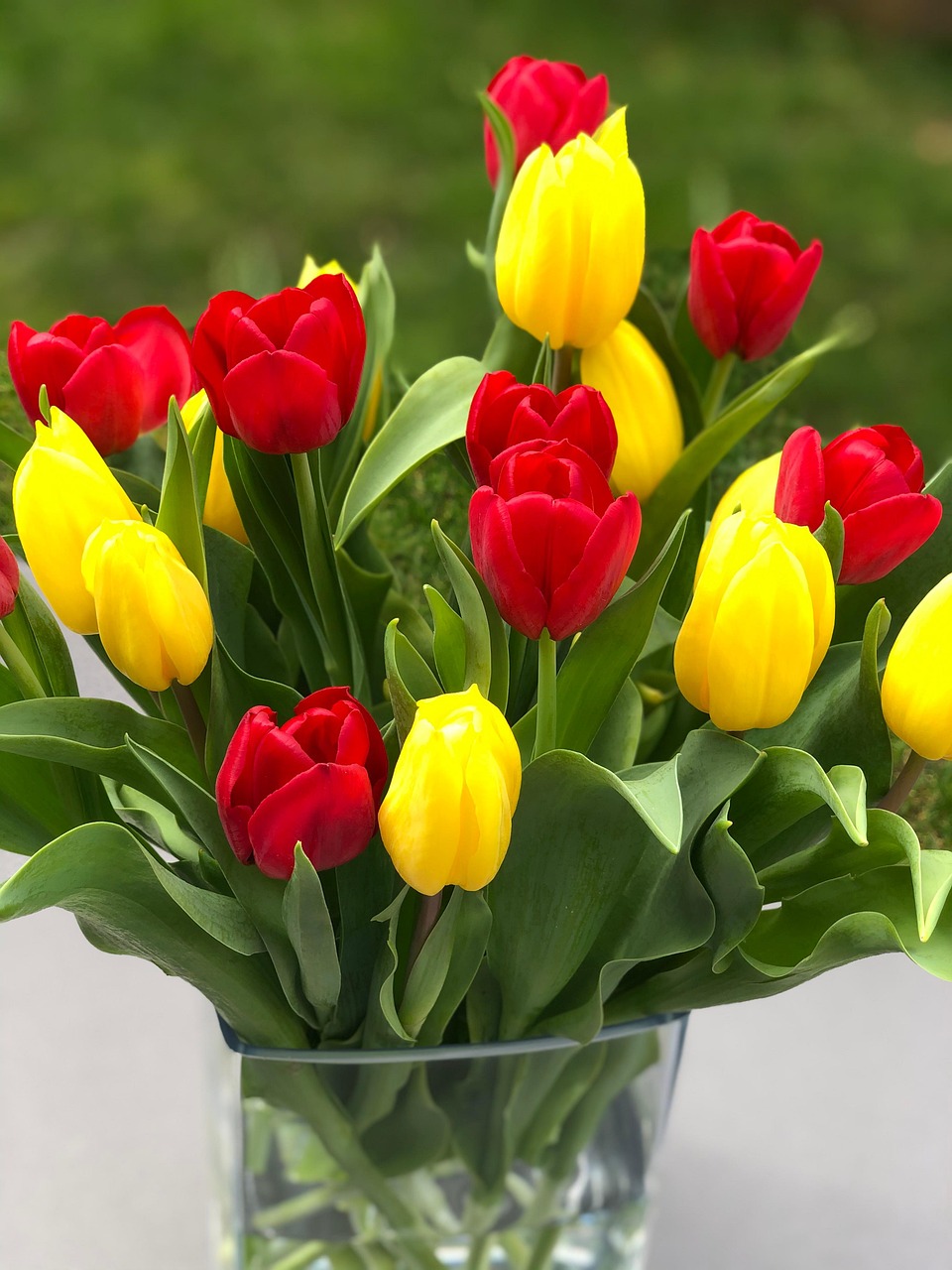 Tulips Flower Spring Bunch Of - Free photo on Pixabay - Pixabay