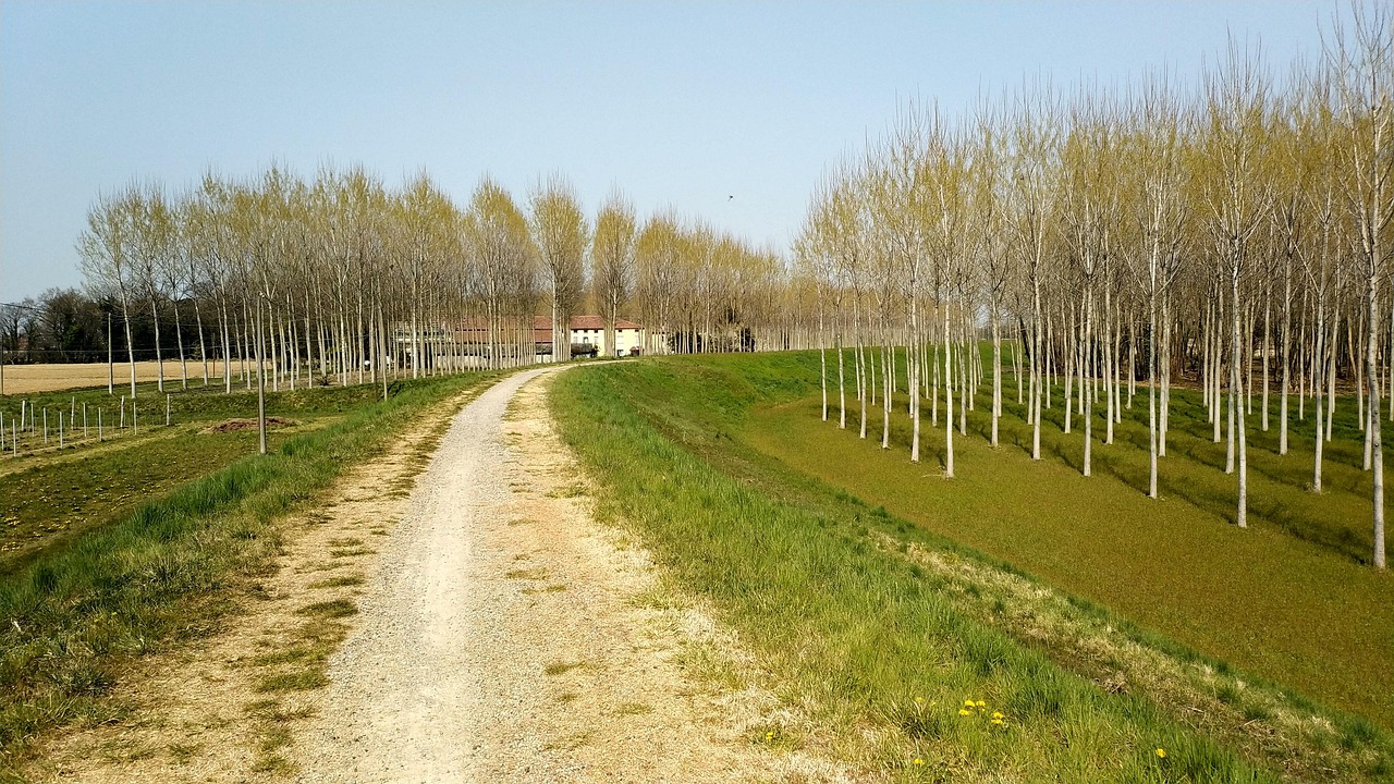 Paysage De Campagne La Nature - Photo gratuite sur Pixabay - Pixabay