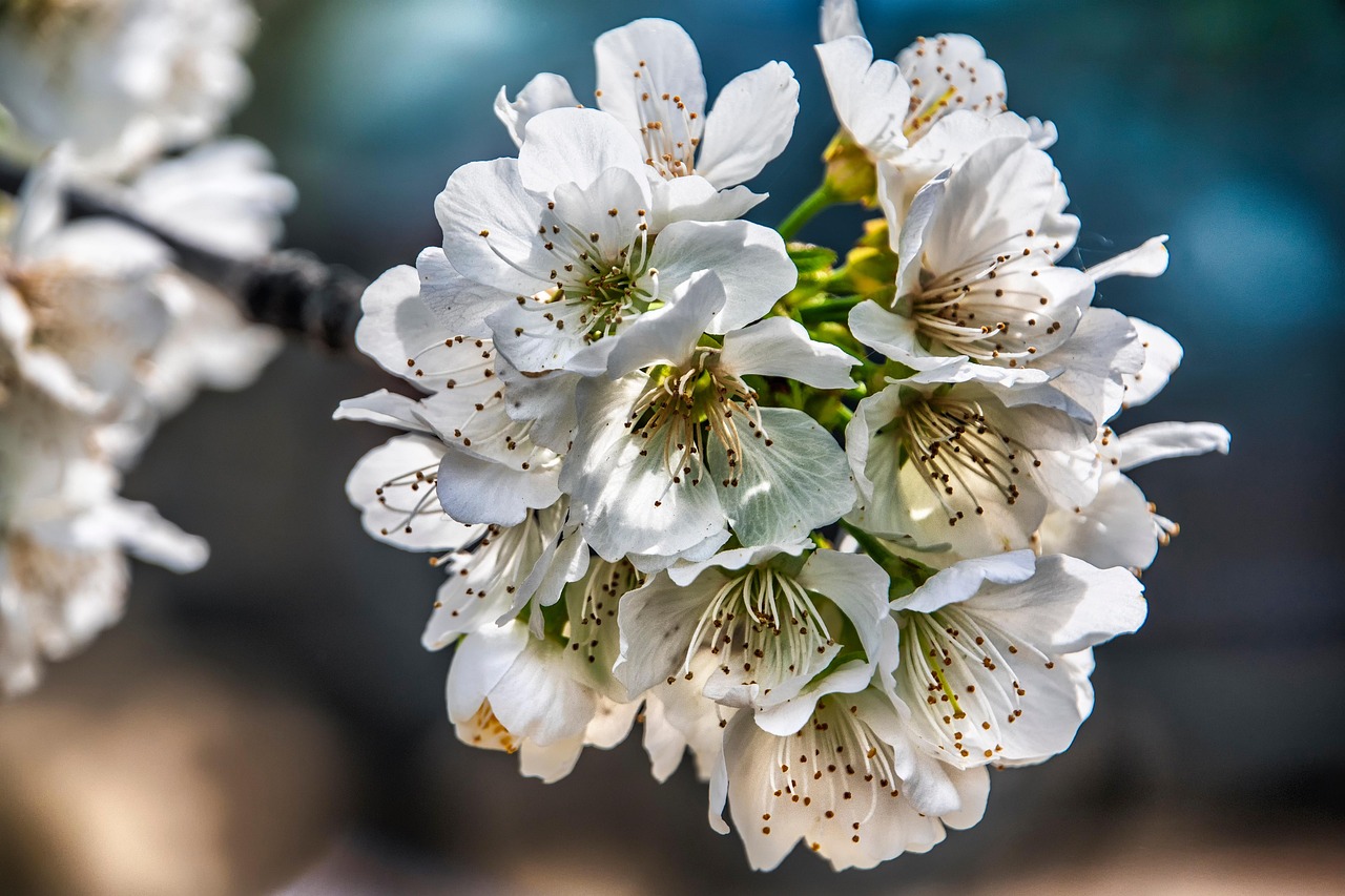 Discover and download free images - Pixabay