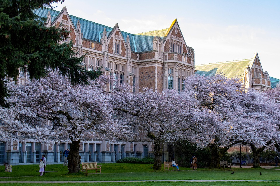 University College Campus - Free photo on Pixabay - Pixabay