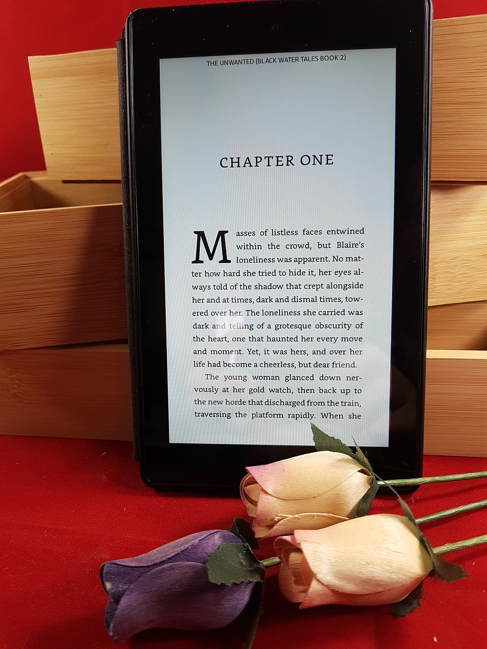 Kindle Ebook E-Book - Free photo on Pixabay - Pixabay