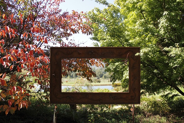 Nature Frame Trees - Free photo on Pixabay - Pixabay