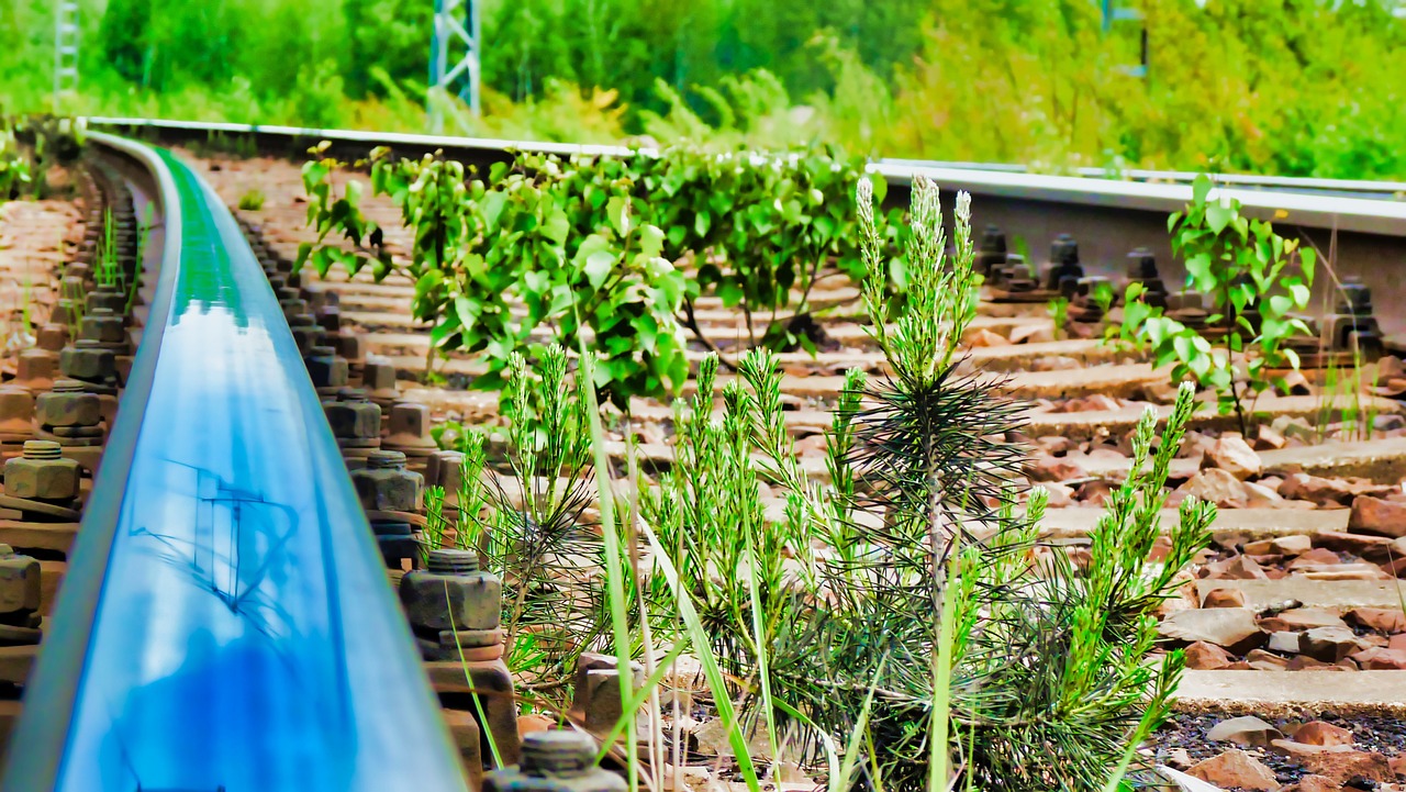 Railroad Tracks Plants - Free photo on Pixabay - Pixabay