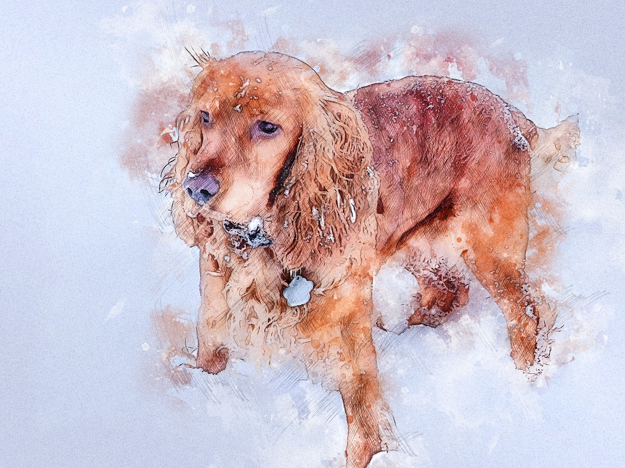 200+ Free Cocker Spaniel & Dog Images - Pixabay