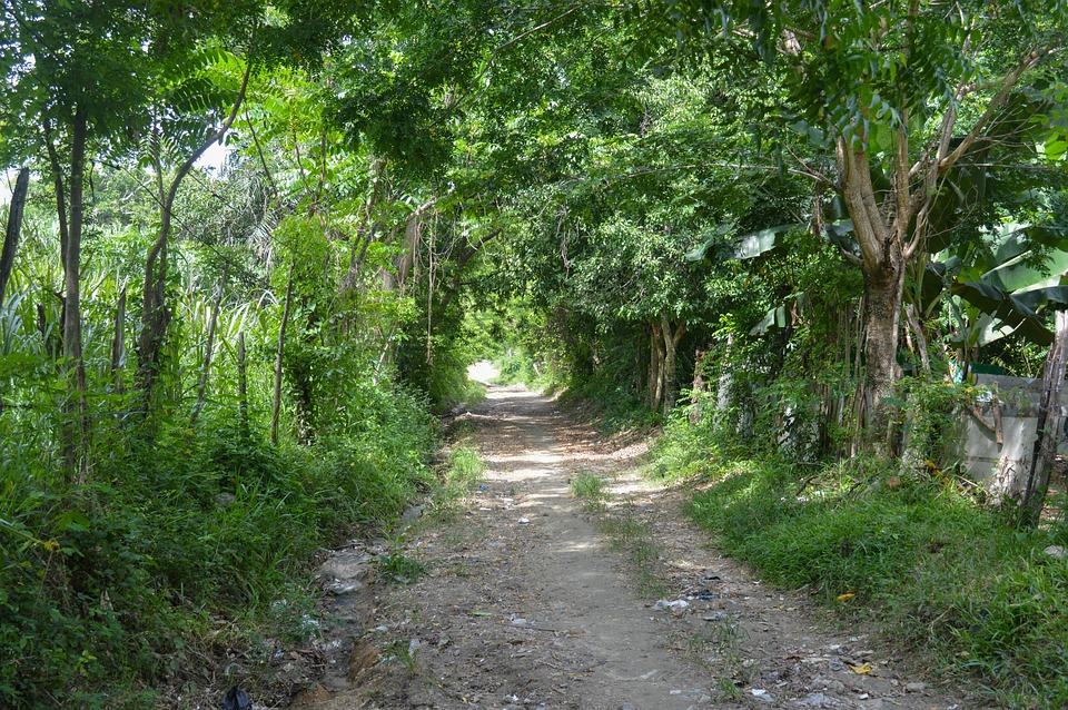 Path Alam Jalur - Foto gratis di Pixabay