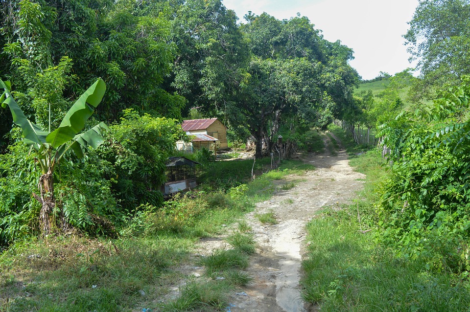 Path Pohon Lanskap - Foto gratis di Pixabay