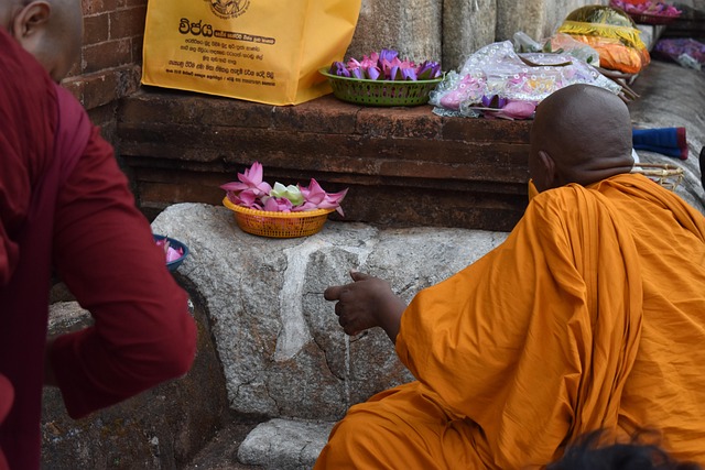 Nun Buddhism Bud - Free photo on Pixabay - Pixabay