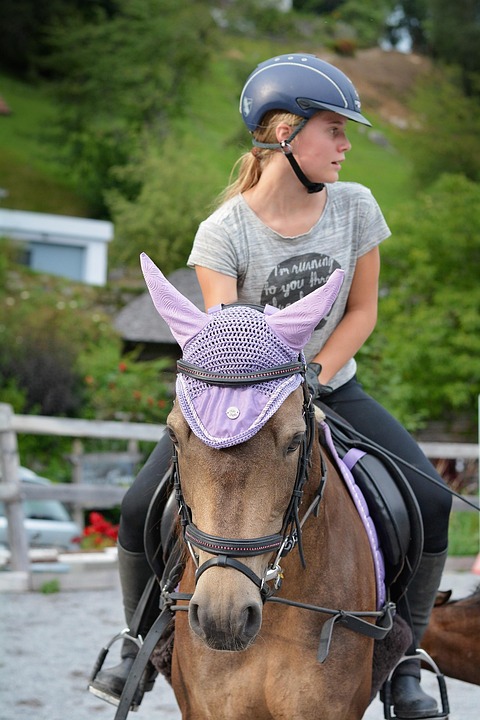 Rider Horse Riding Pony - Free photo on Pixabay - Pixabay