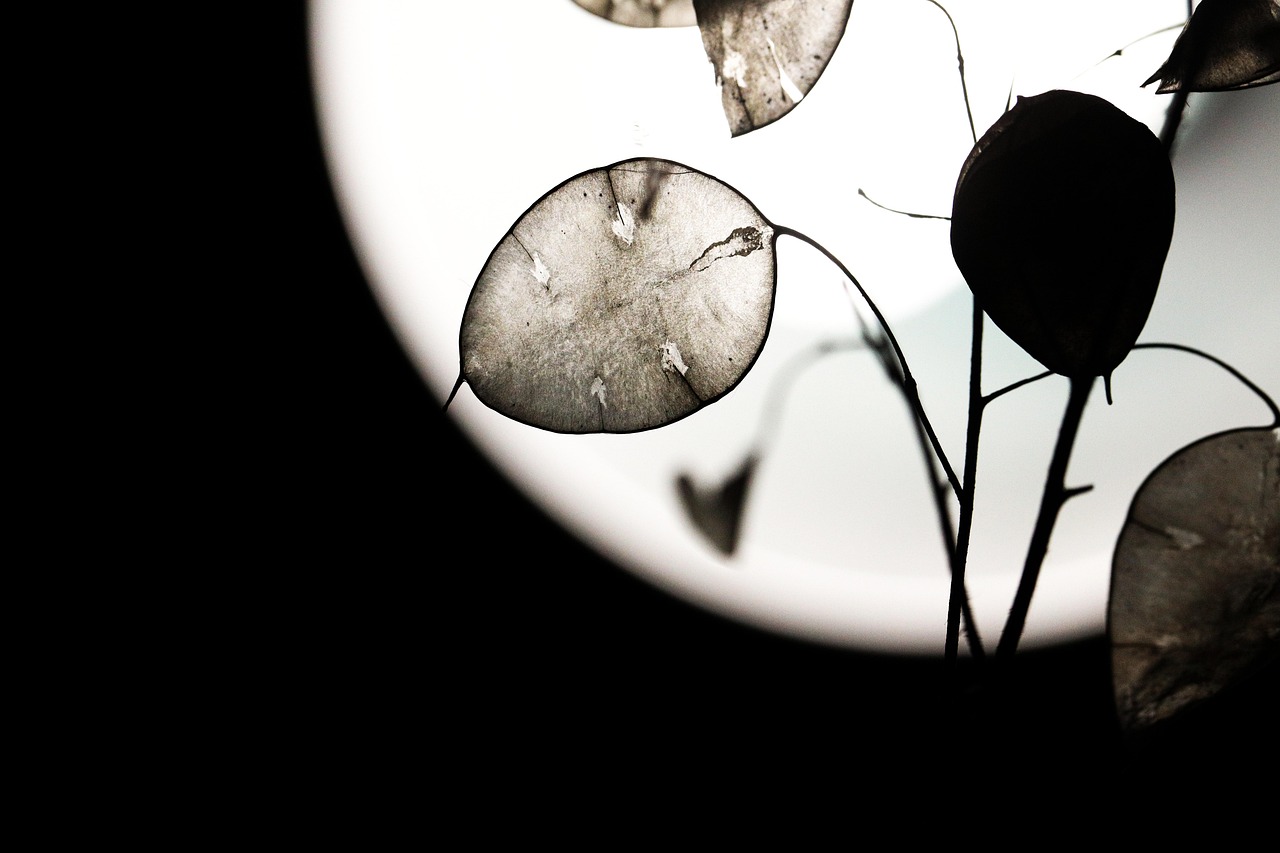 100+ Free Honesty & Ethics Images - Pixabay