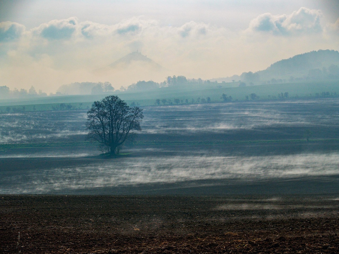 Country Field Tree - Free photo on Pixabay - Pixabay