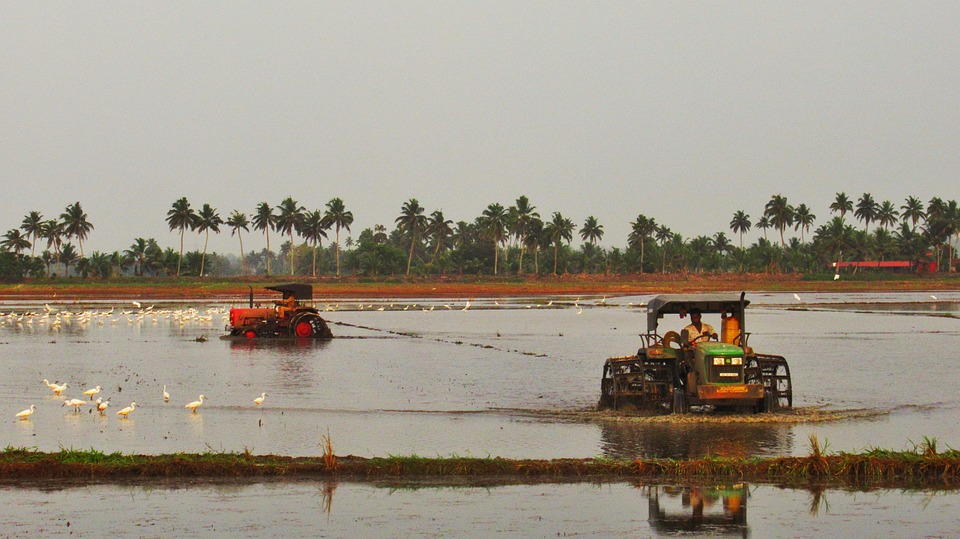 Kerala India Free Photo On Pixabay 2173