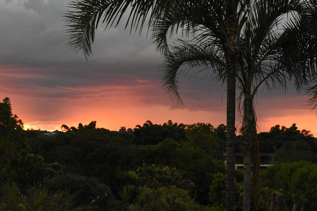 Paisage Sonnenuntergang - Kostenloses Foto auf Pixabay - Pixabay