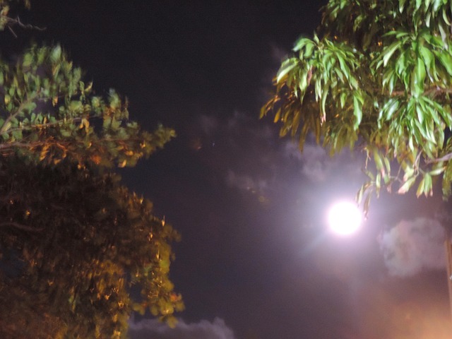 Lua Noite - Foto gratuita no Pixabay - Pixabay