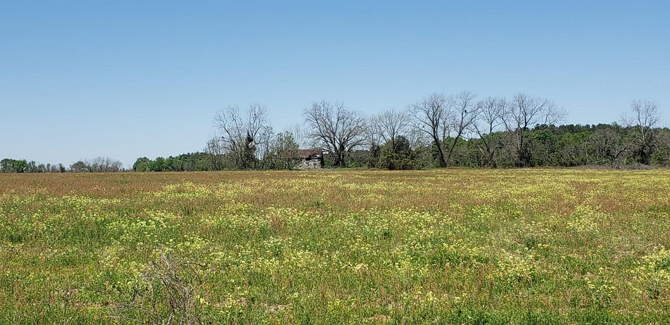Homestead Georgia Natur - Kostenloses Foto auf Pixabay - Pixabay