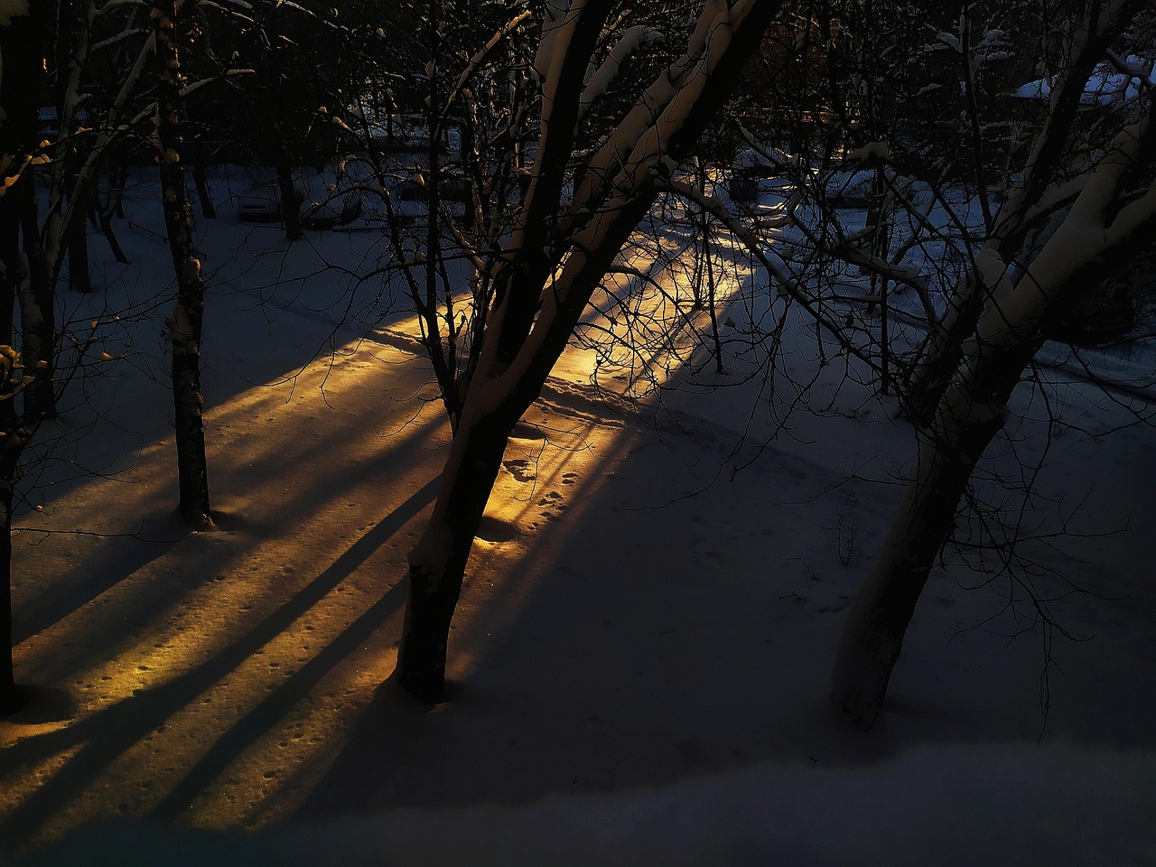 The Lights Of A Sun Winter Day - Free photo on Pixabay - Pixabay