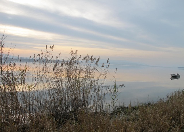 Lacul Constance Starea De Spirit - Fotografie gratuită pe Pixabay - Pixabay