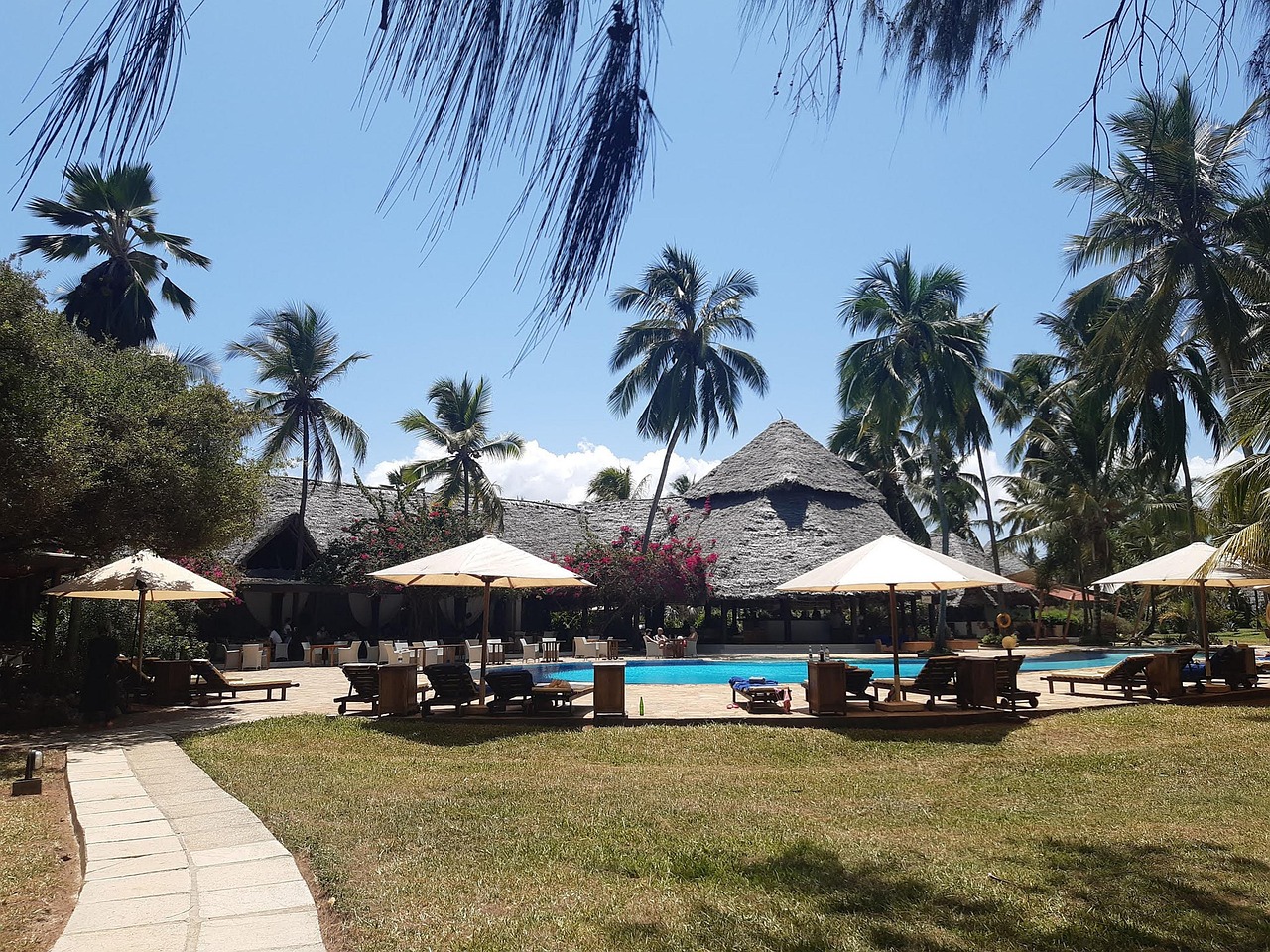 Zanzibar Africa Tanzania - Free photo on Pixabay - Pixabay