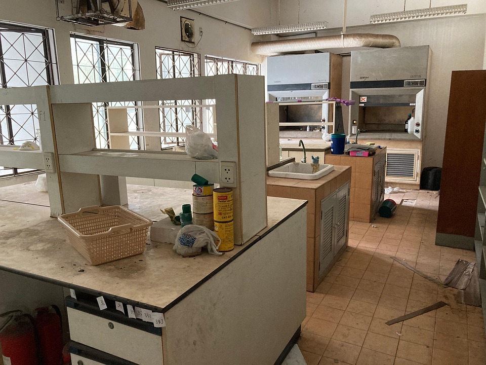 Lab Dirty - Kostenloses Foto auf Pixabay - Pixabay