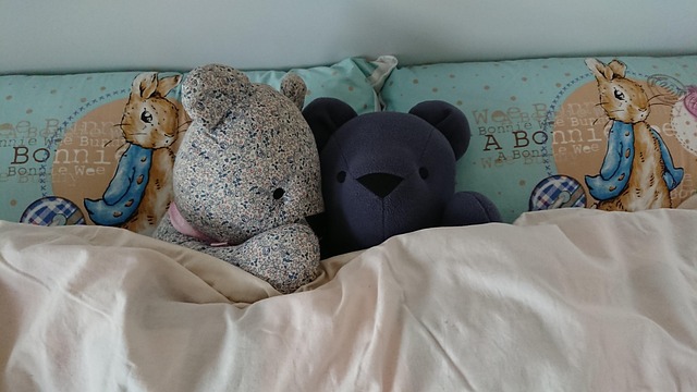 Bed Teddy Bears Toys Stuffed - Free photo on Pixabay - Pixabay