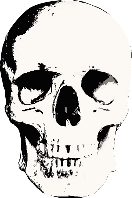Tengkorak Kerangka Halloween - Gambar gratis di Pixabay