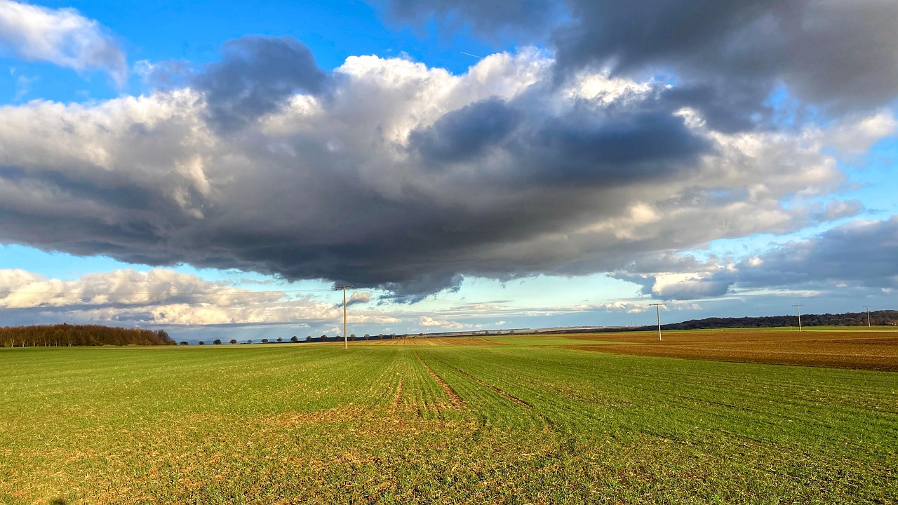 Des Champs Cultiver Rural - Photo gratuite sur Pixabay - Pixabay