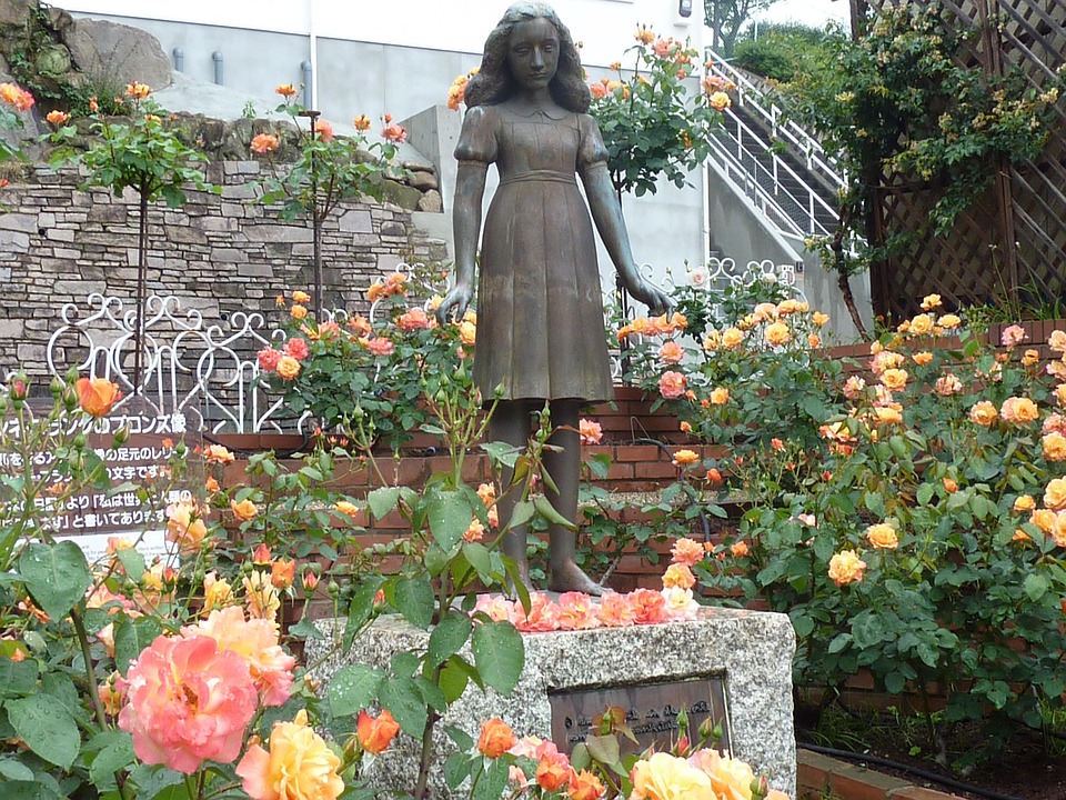 Rose D'Anne Anne Frank No - Photo gratuite sur Pixabay - Pixabay