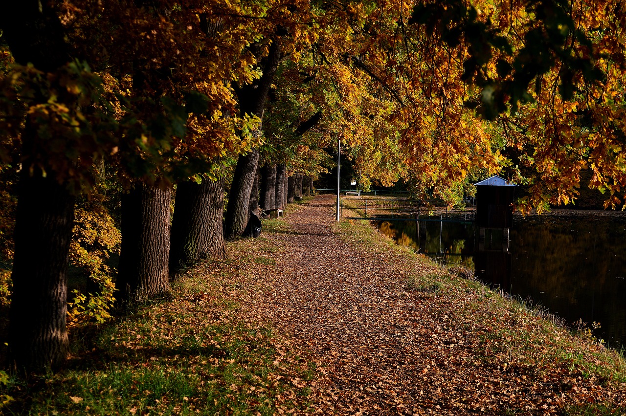 Bohemia Otoño - Foto gratis en Pixabay - Pixabay