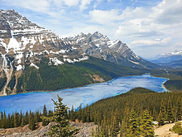 Lac Peyto Montagnes Des Arbres - Photo gratuite sur Pixabay - Pixabay