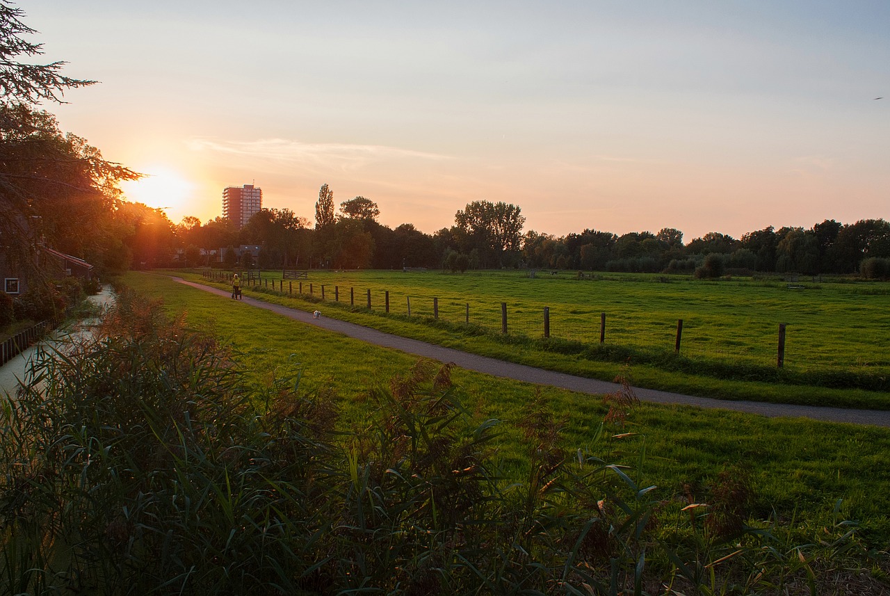 Pasture Grass Field - Free photo on Pixabay - Pixabay