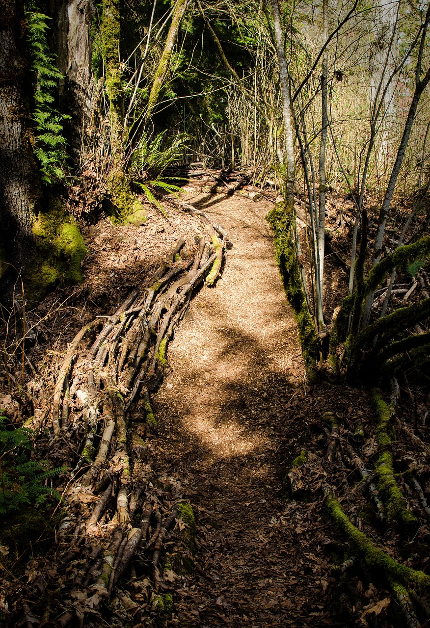 Wanderweg Pfad Wandern - Kostenloses Foto auf Pixabay - Pixabay