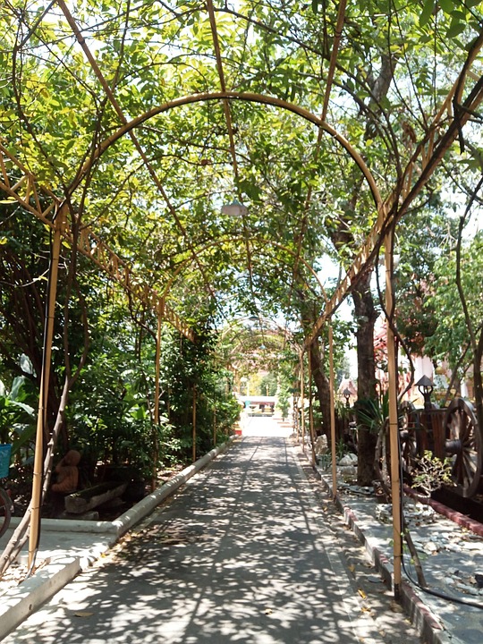 Garden Bower Nature - Free photo on Pixabay - Pixabay