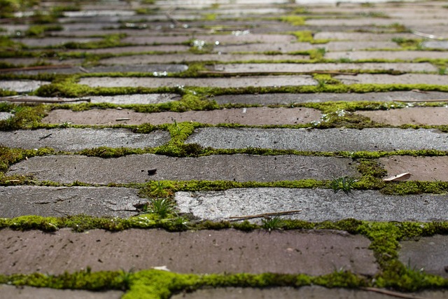Street Pavement Stone - Free photo on Pixabay - Pixabay