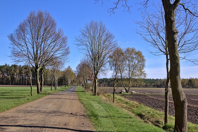 Blue Sky Nature Dirt Way - Free photo on Pixabay - Pixabay