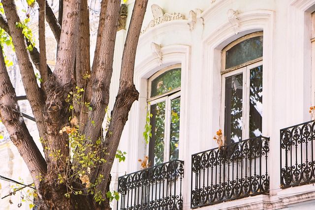 Facade Windows Tree - Free photo on Pixabay - Pixabay
