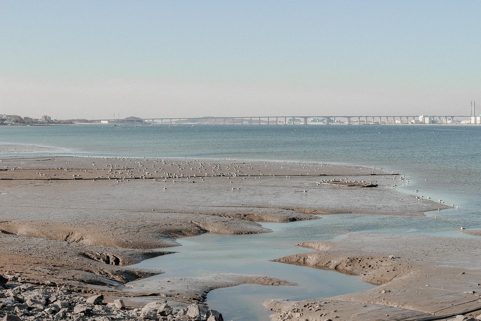 Sea Coas City - Free photo on Pixabay